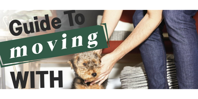 Helpful Tips For Moving With A Pet – Mobile Dog Gear