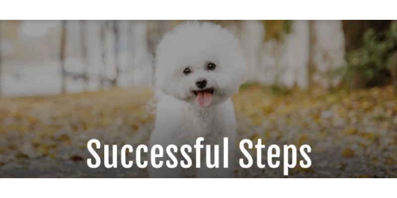 Preparing Your Pack For Another Pup – Mobile Dog Gear