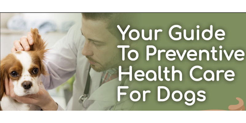 Being Proactive About Your Dog’s Health – Mobile Dog Gear